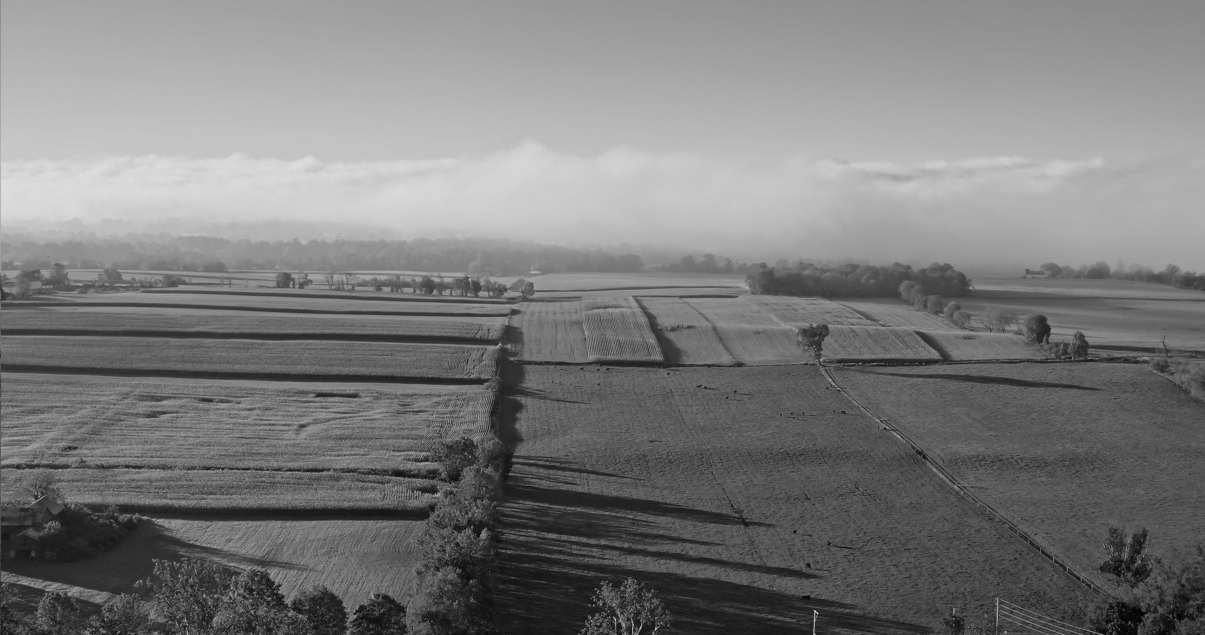 Navigating the Complexities of the Agriculture Market Navigating the Complexities of the Agriculture Market