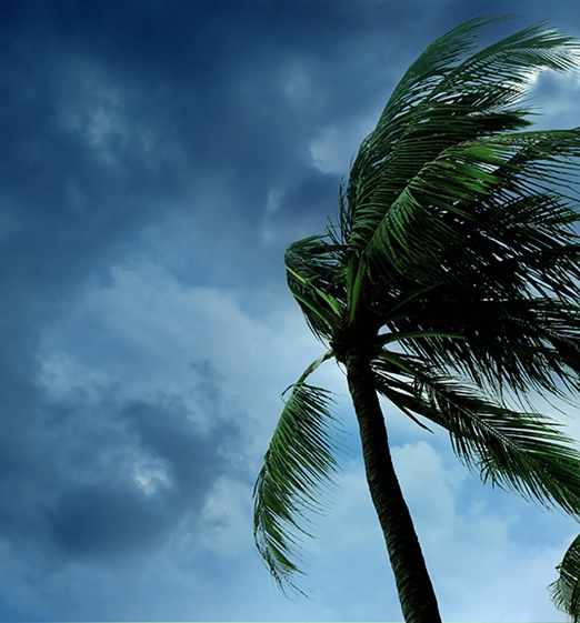 Leading Specialty Insurance Distributor | Amwins