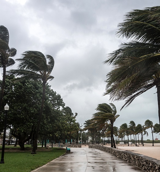 Leading Specialty Insurance Distributor | Amwins