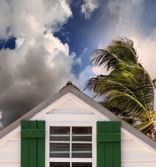 Leading Specialty Insurance Distributor | Amwins